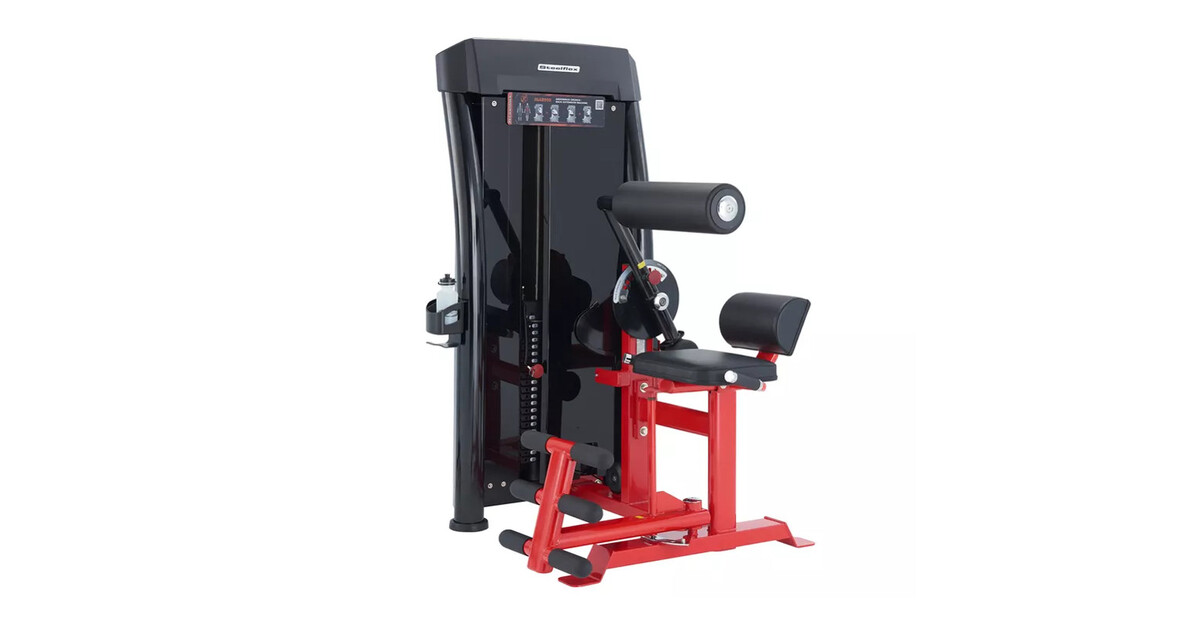 Abdominal Curl/Back Extension Machine Steelflex Jumgle Gym JGAB900 ...